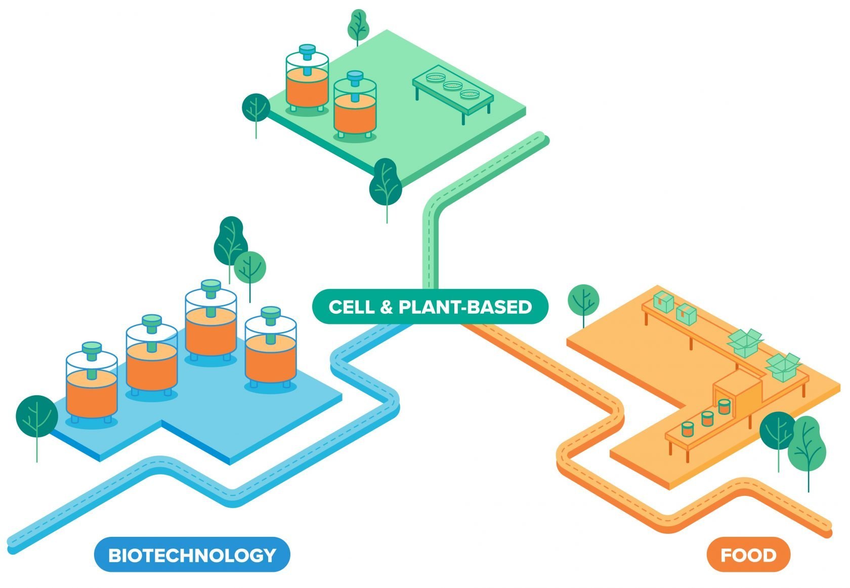 Cultured meat production: overcoming scale-up challenges | CRB
