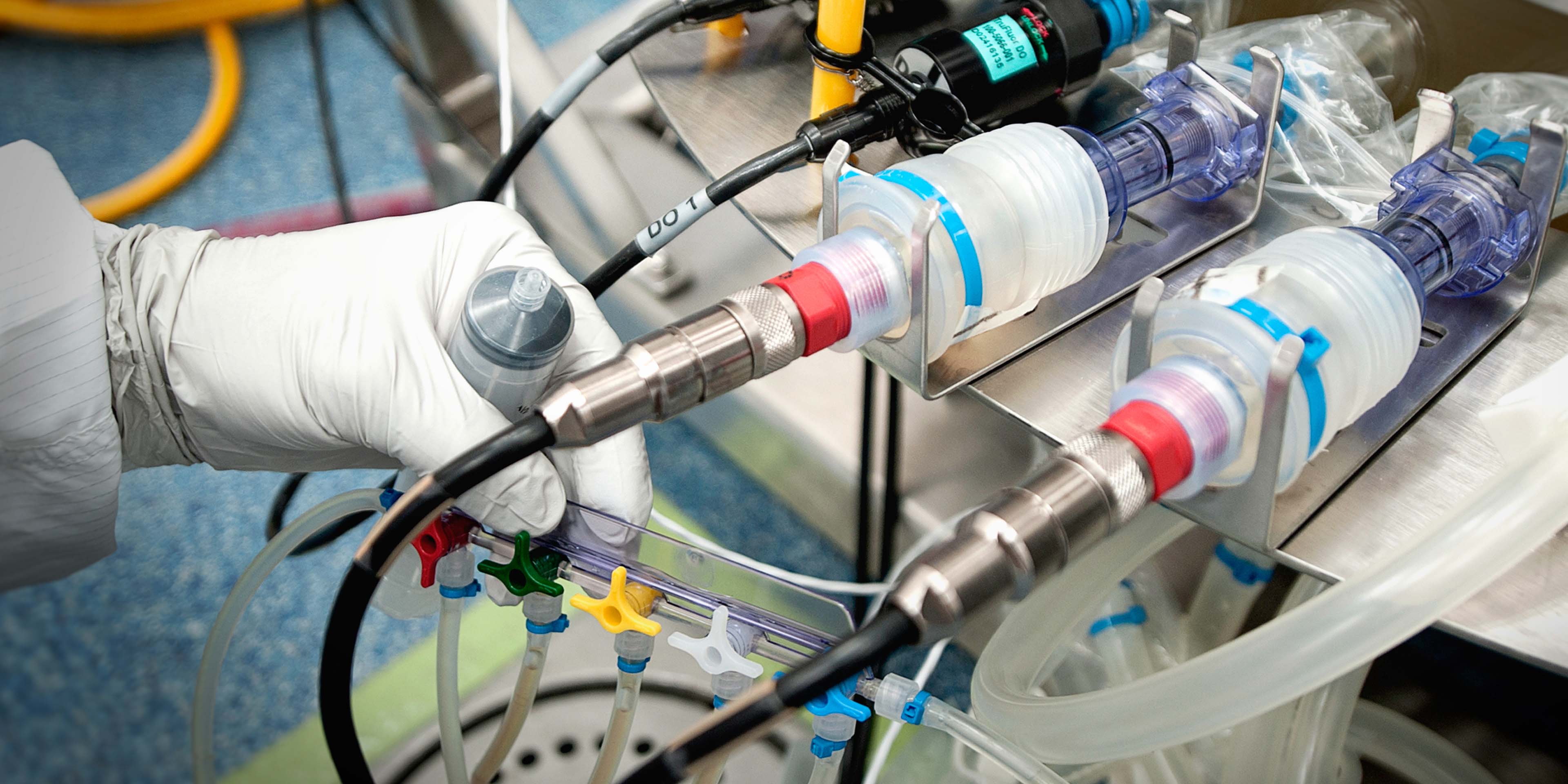 Which is more sustainable: stainless steel or single-use systems? - CRB