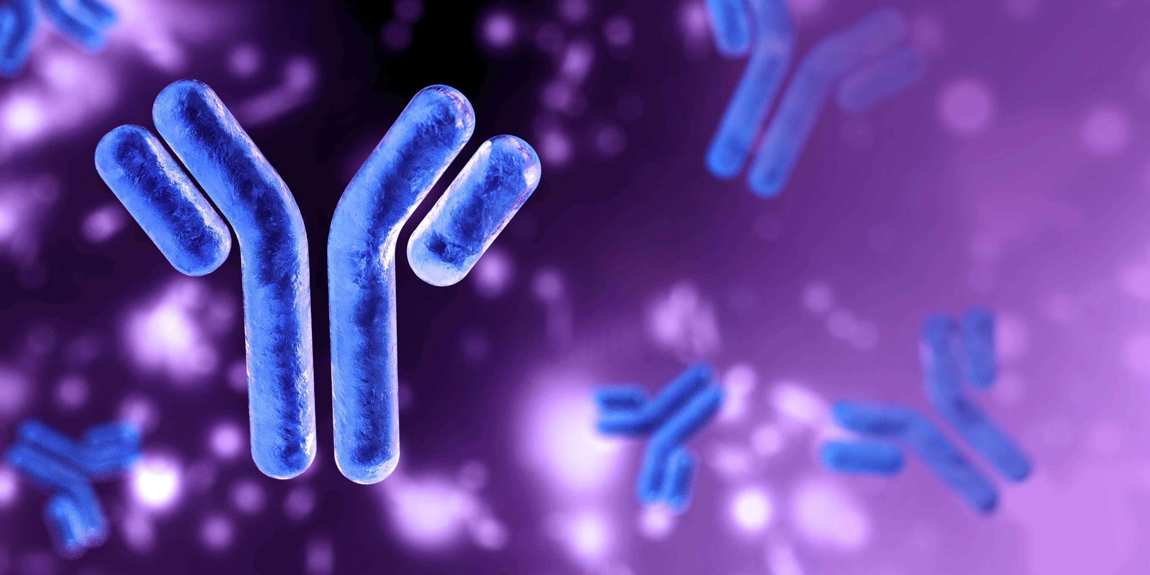 An introduction to modern monoclonal antibody manufacturing | CRB An introduction to modern monoclonal antibody manufacturing | CRB