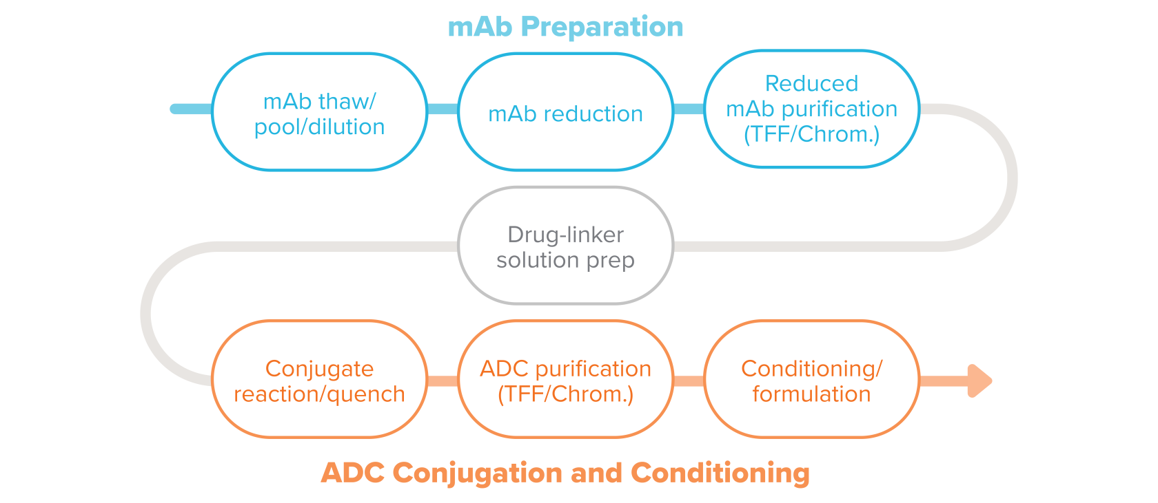Targeted therapies: An introduction to ADC manufacturing | CRB
