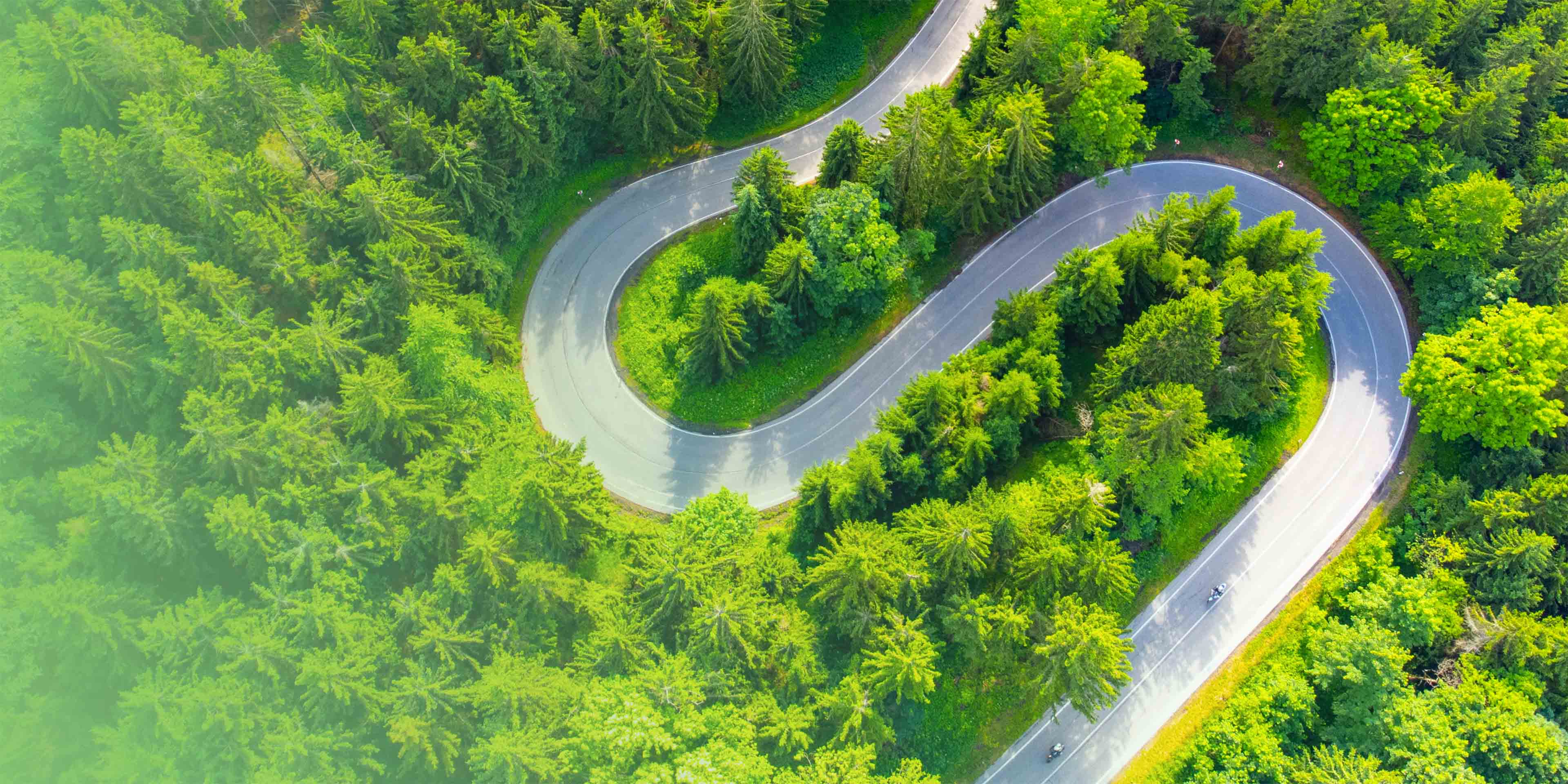 Benefits of sustainability roadmaps - CRB