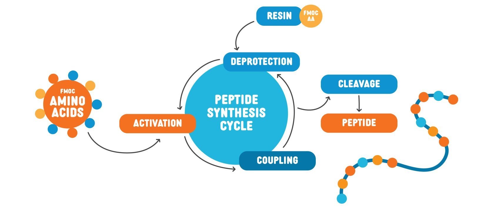 The GLP-1 Manufacturing Process – M A N O X B L O G
